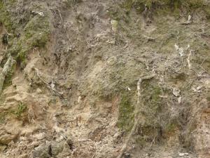 rough ground textures - Texturelib